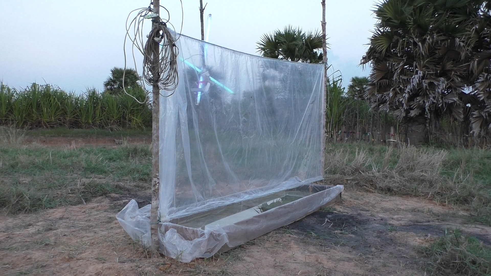 [Cambodge 🇰🇭] Anatomie d’un piège à insectes | Les Criquets Migrateurs