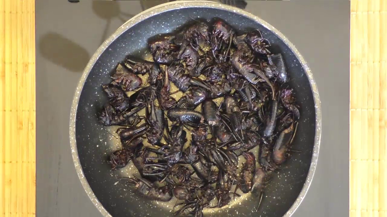 [🍽️] Grillons grillés à la zimbabwéenne | Les Criquets Migrateurs