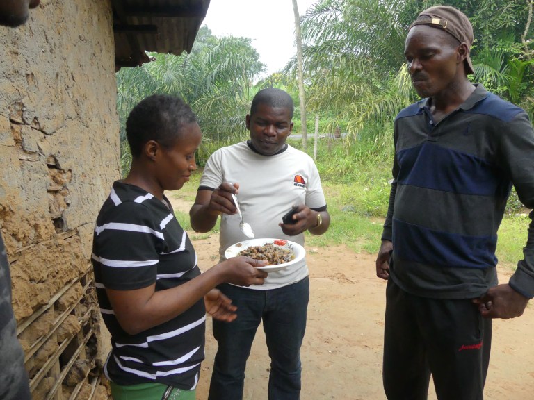 [Cameroun 🇨🇲] La culture des vrais foss | Les Criquets Migrateurs