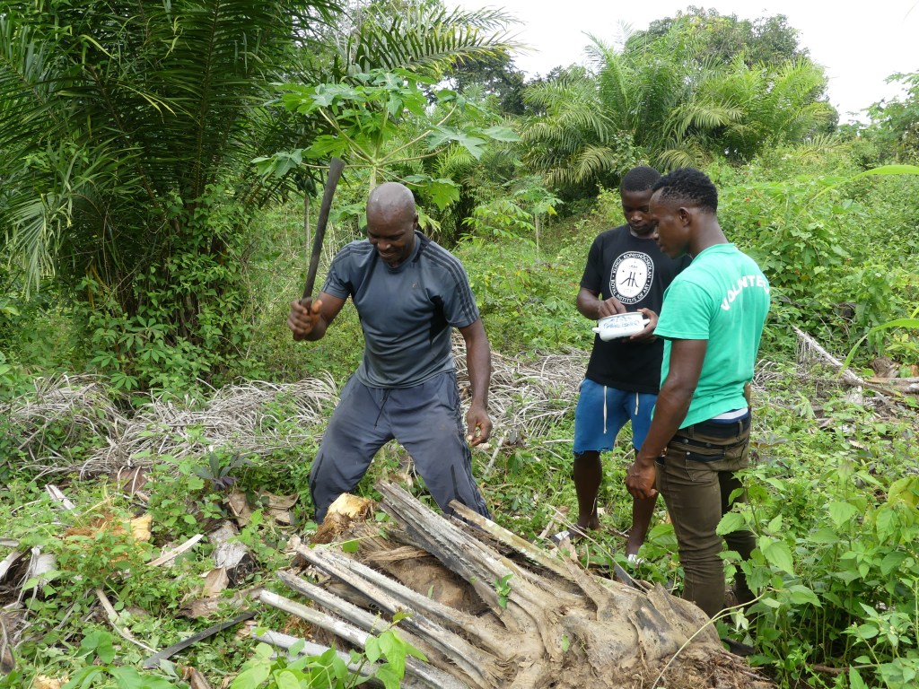 [Cameroun 🇨🇲] La culture des vrais foss | Les Criquets Migrateurs